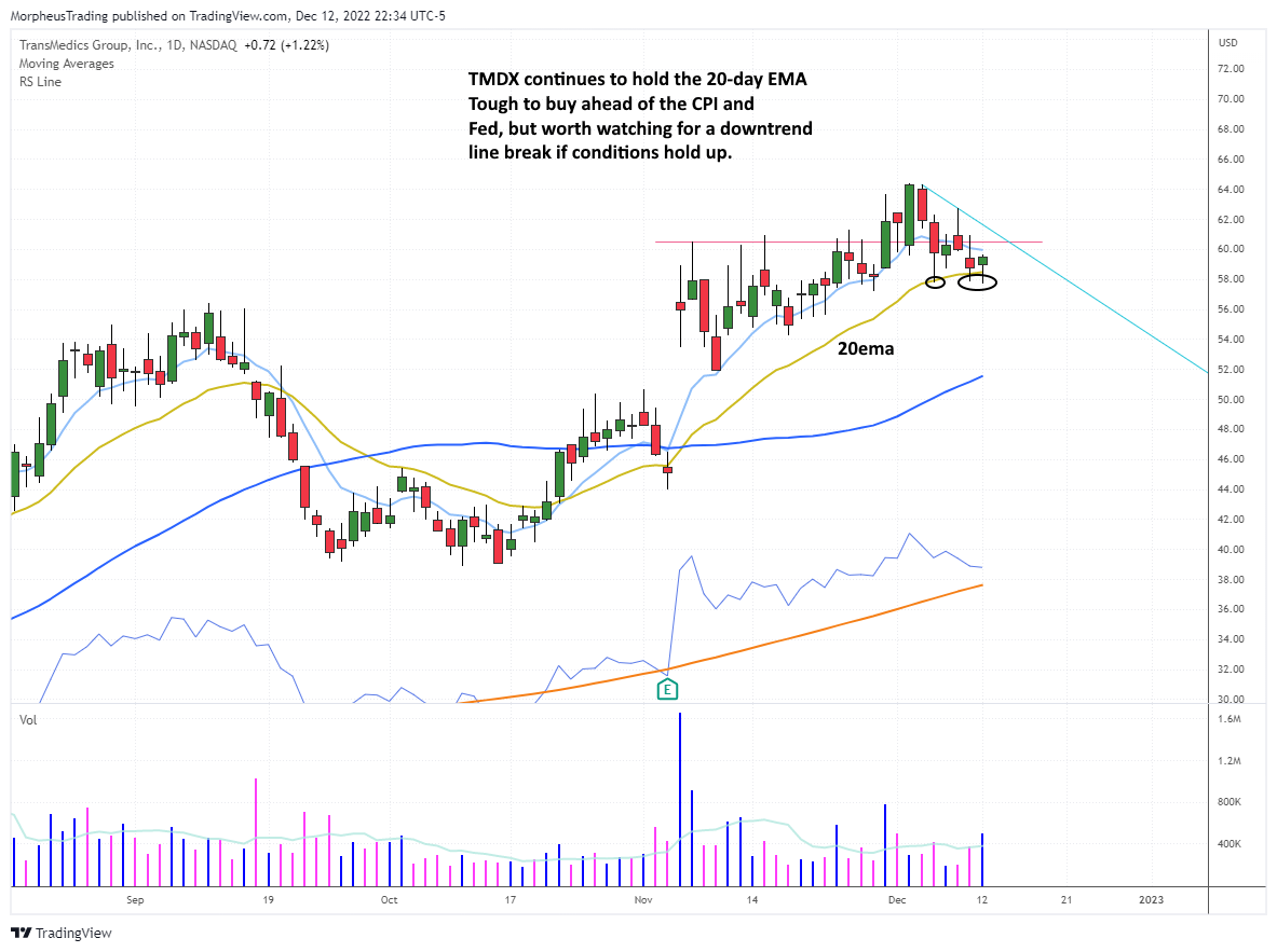 The Wagner Daily - $TMDX Bounces Back After False Breakout